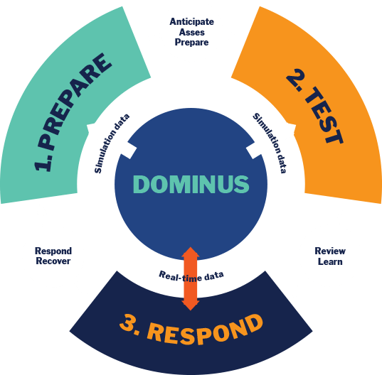 Dominus Technology - Dominus Technology